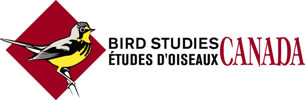 Partners and supporters – BECO